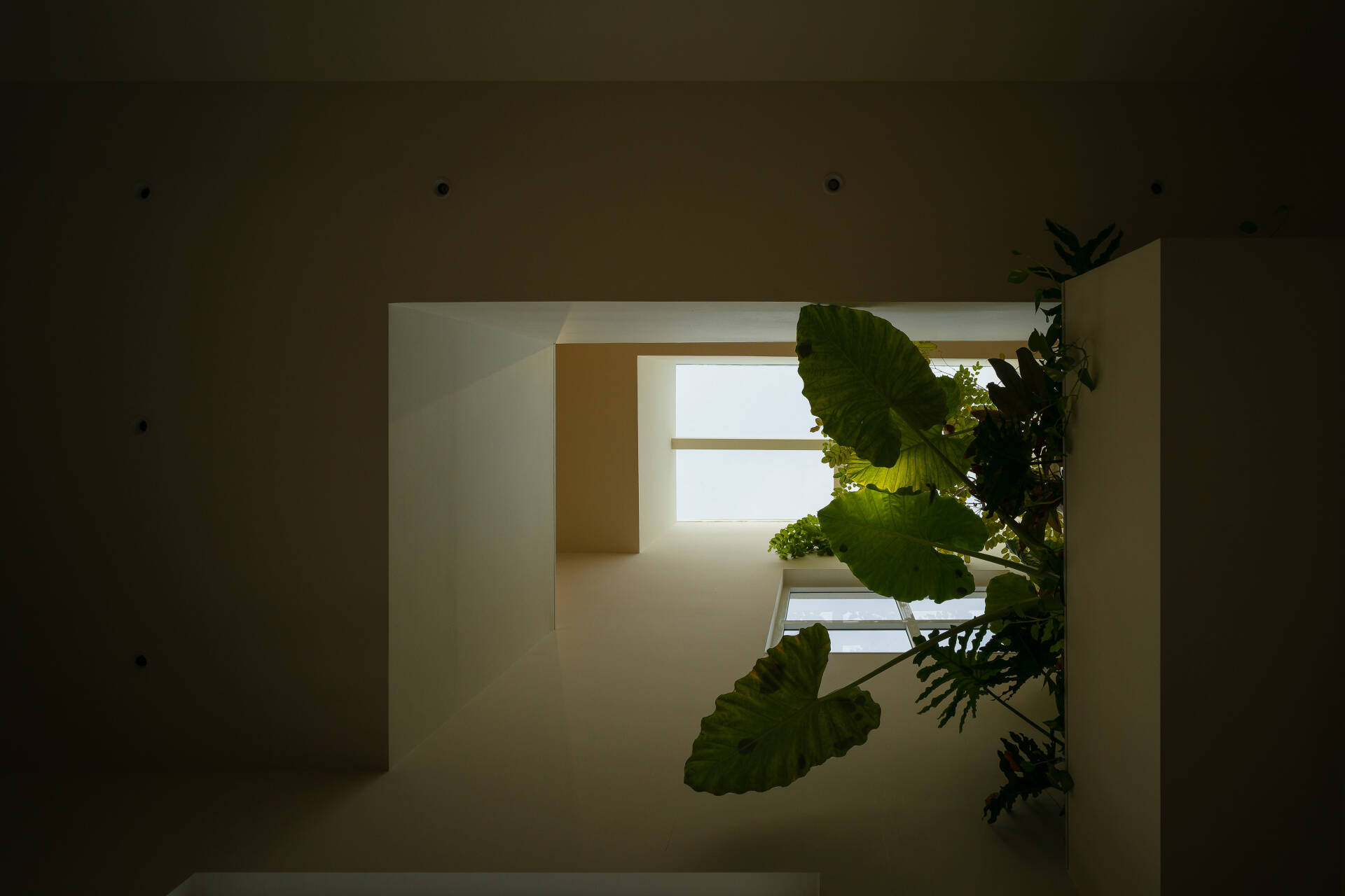 DH House - “Đơn giản là sự tinh tế cuối cùng” | Rear Studio