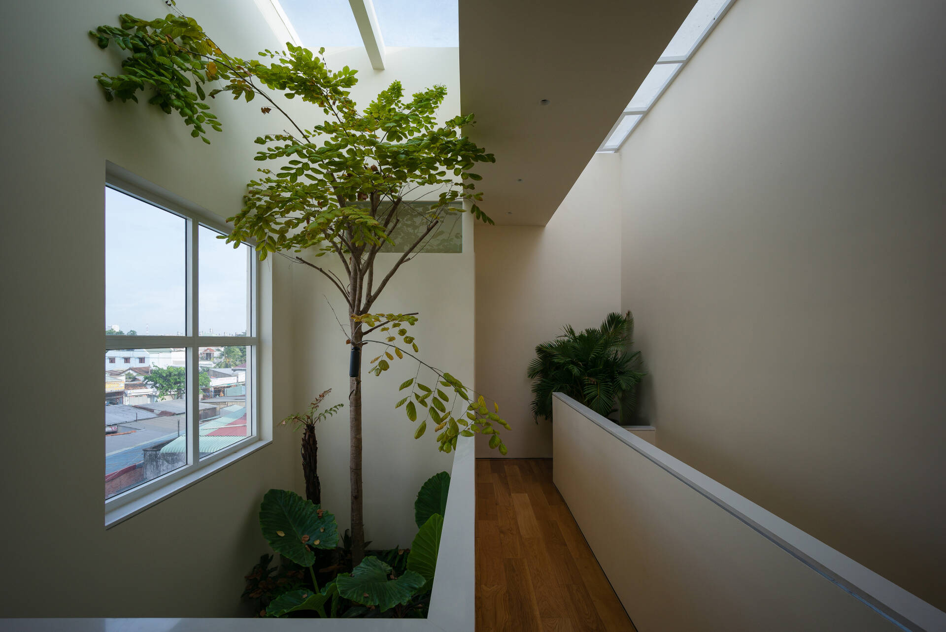 DH House - “Đơn giản là sự tinh tế cuối cùng” | Rear Studio