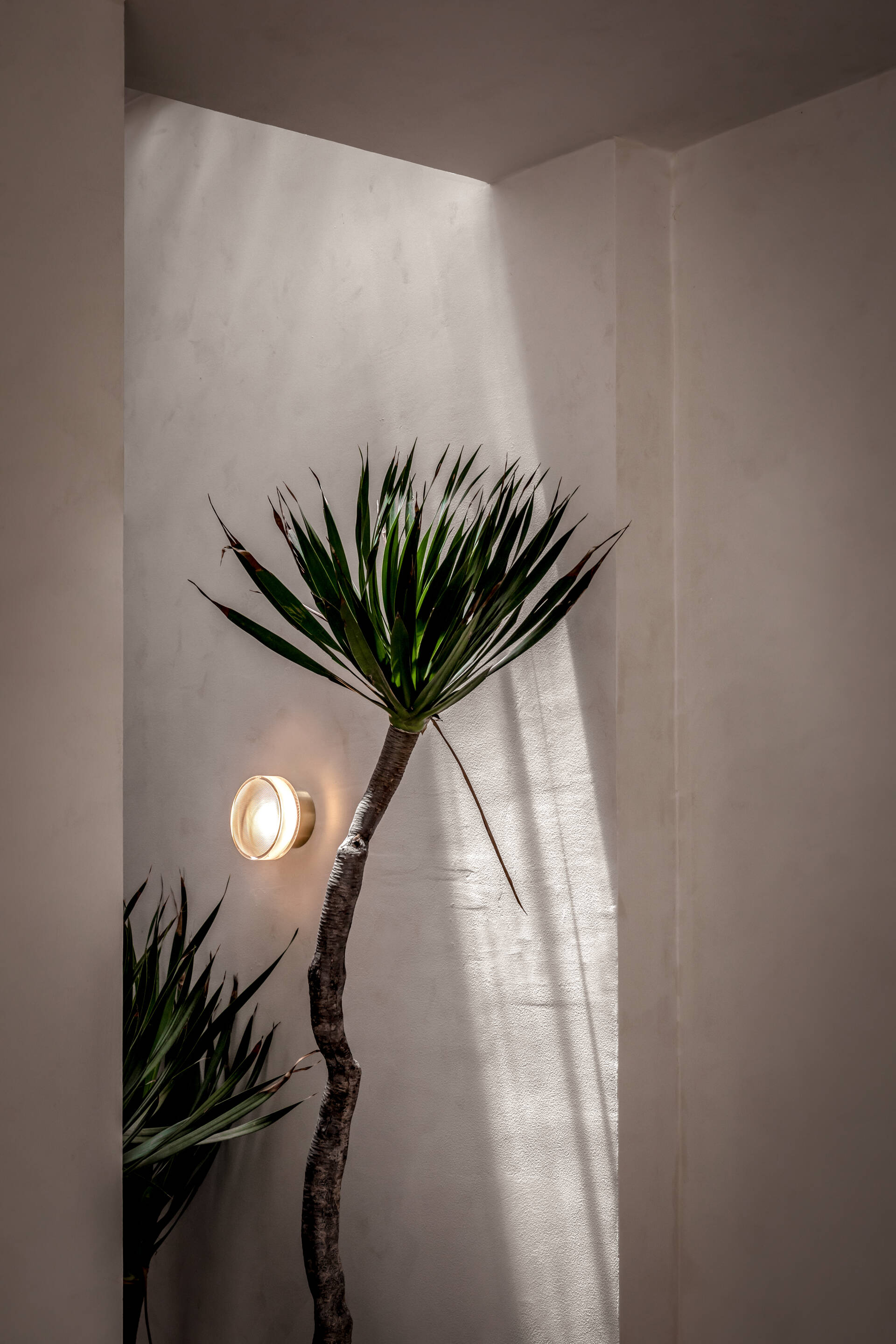 Nhà Voi & 7 khu vườn - Ngôi nhà của sự hài hòa giữa con người và thiên ...