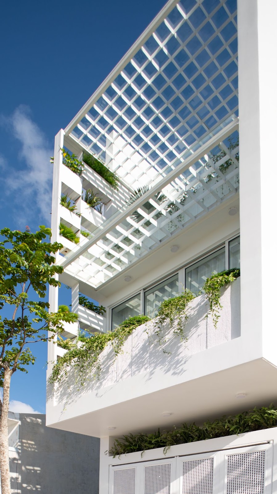 TNT House: “Nắng và Gió” thổi hồn vào ngôi nhà ống 60m2 | KTS. Phạm ...