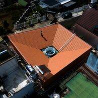 The Bloom Architects