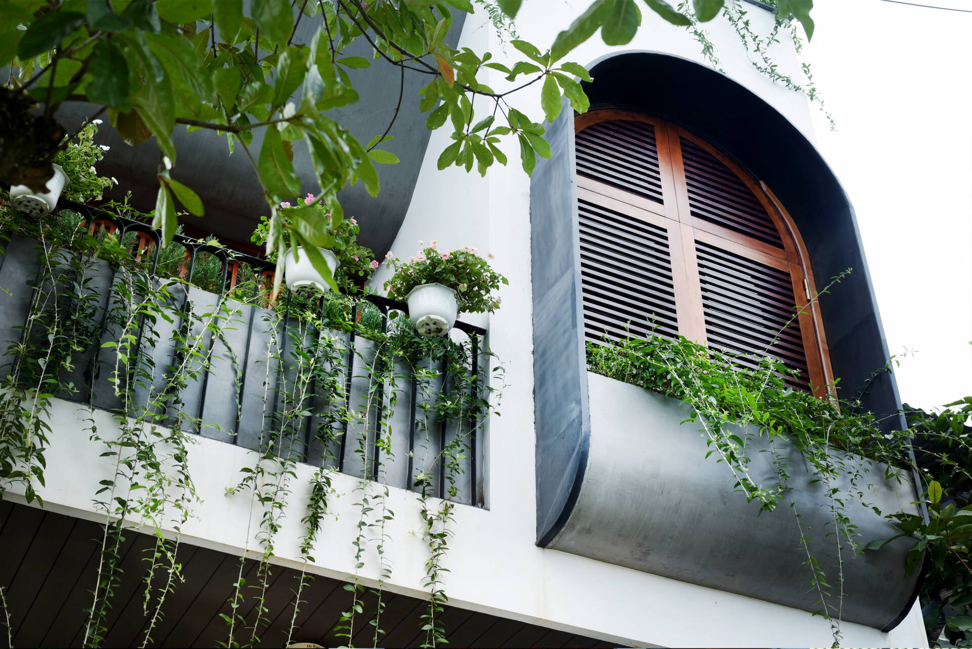 Tam Giao House: Không gian sống kết nối con người với thiên nhiên | MVN ...