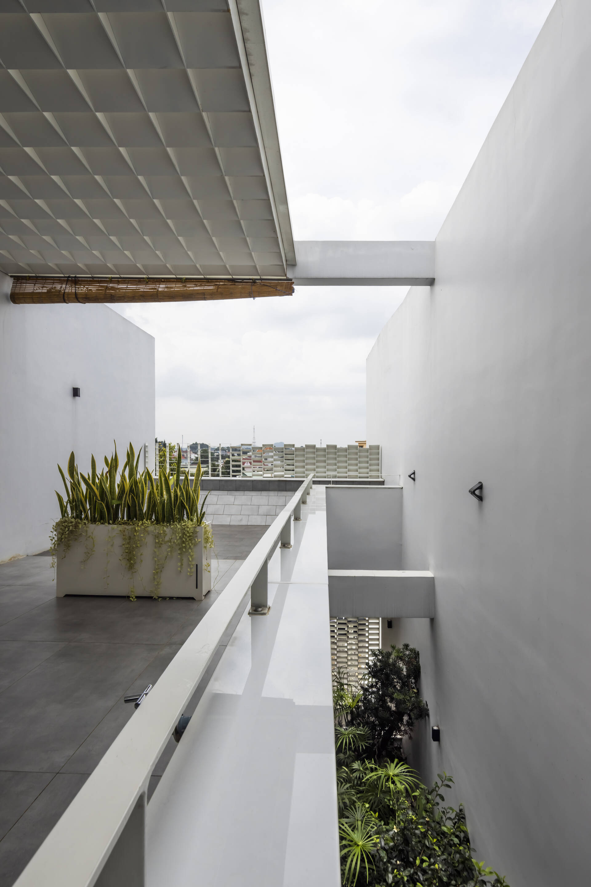 TP House - Nhà ở đô thị, náo nhiệt bên ngoài, yên ả bên trong | Studio Voi