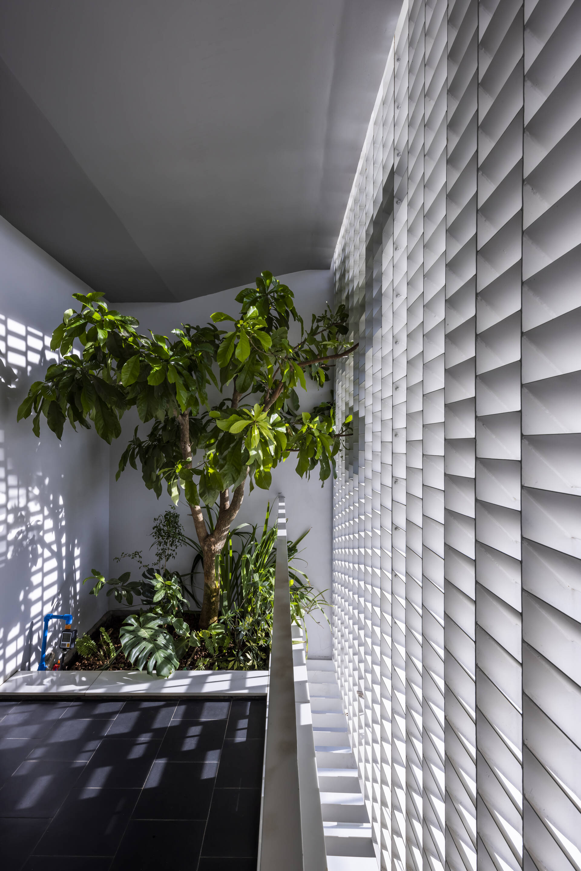 TP House - Nhà ở đô thị, náo nhiệt bên ngoài, yên ả bên trong | Studio Voi