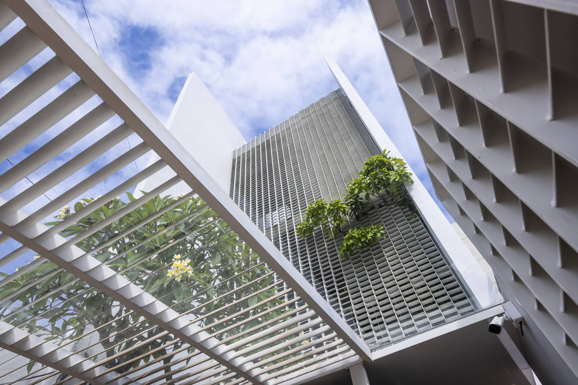 TP House - Nhà ở đô thị, náo nhiệt bên ngoài, yên ả bên trong | Studio Voi