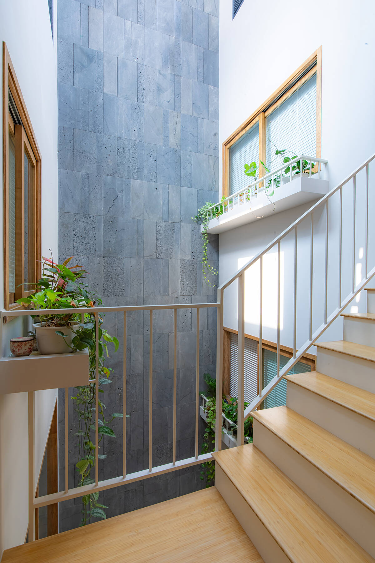 TT HOUSE - Nhà phố với không gian “mở” và “thoáng” | Kaa Architects