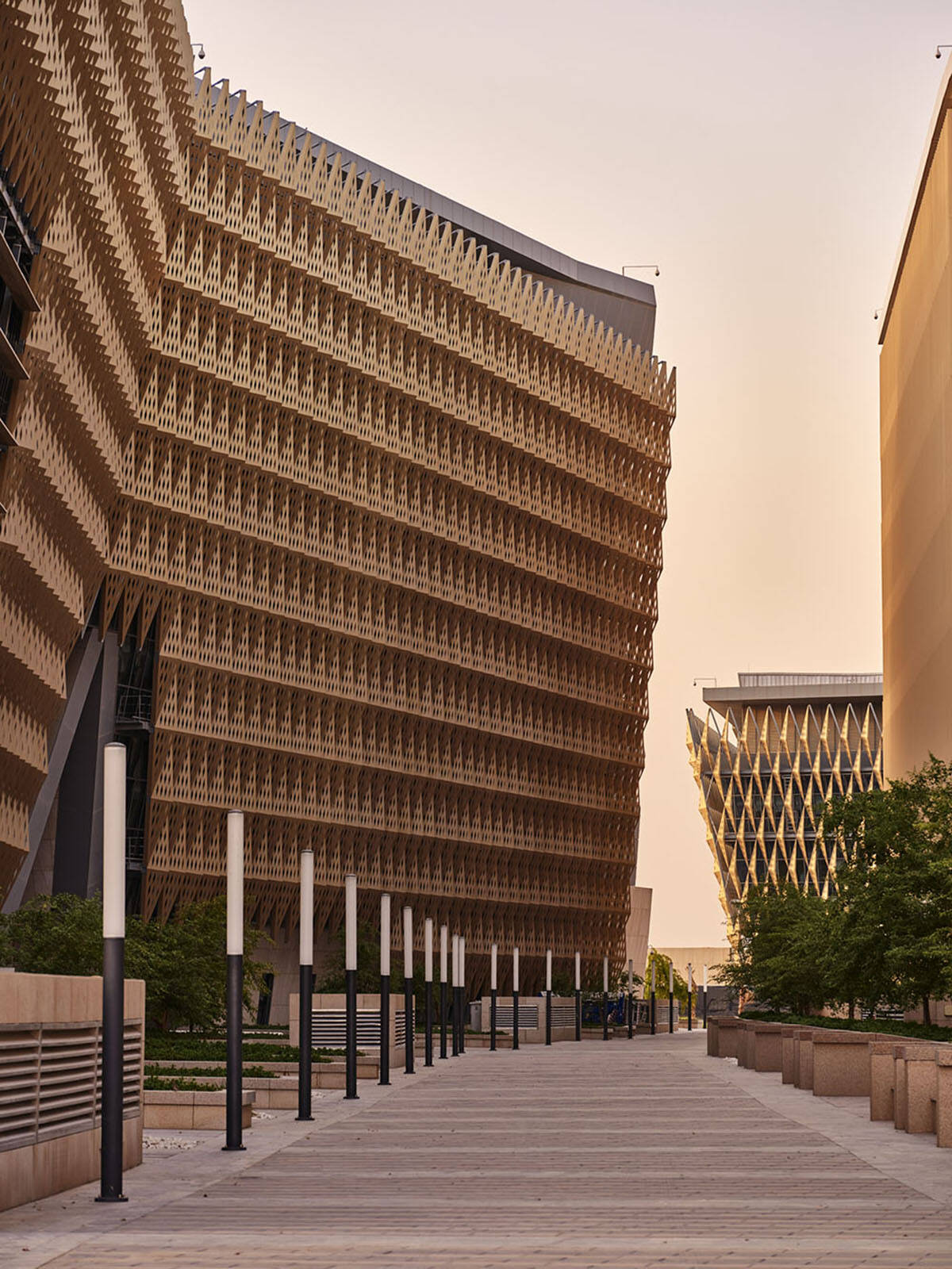 Trường Cao đẳng Khoa học Đời sống Đại học Kuwait | CambridgeSeven ...