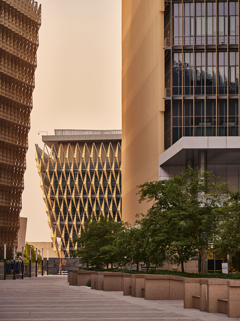 Trường Cao đẳng Khoa học Đời sống Đại học Kuwait | CambridgeSeven ...