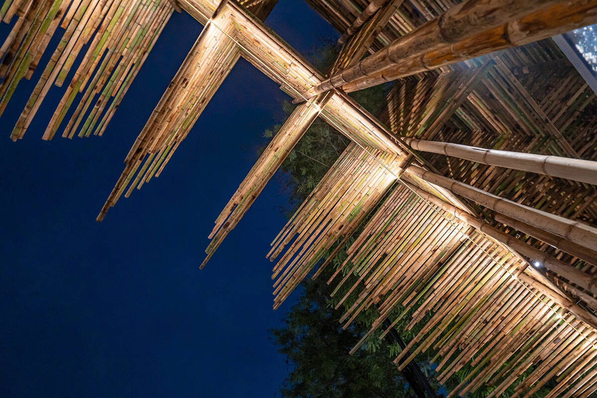 Vẻ đẹp của Top 10 Pavilion 2023 “Chạm cuộc sống” qua ống kính nghệ thuật