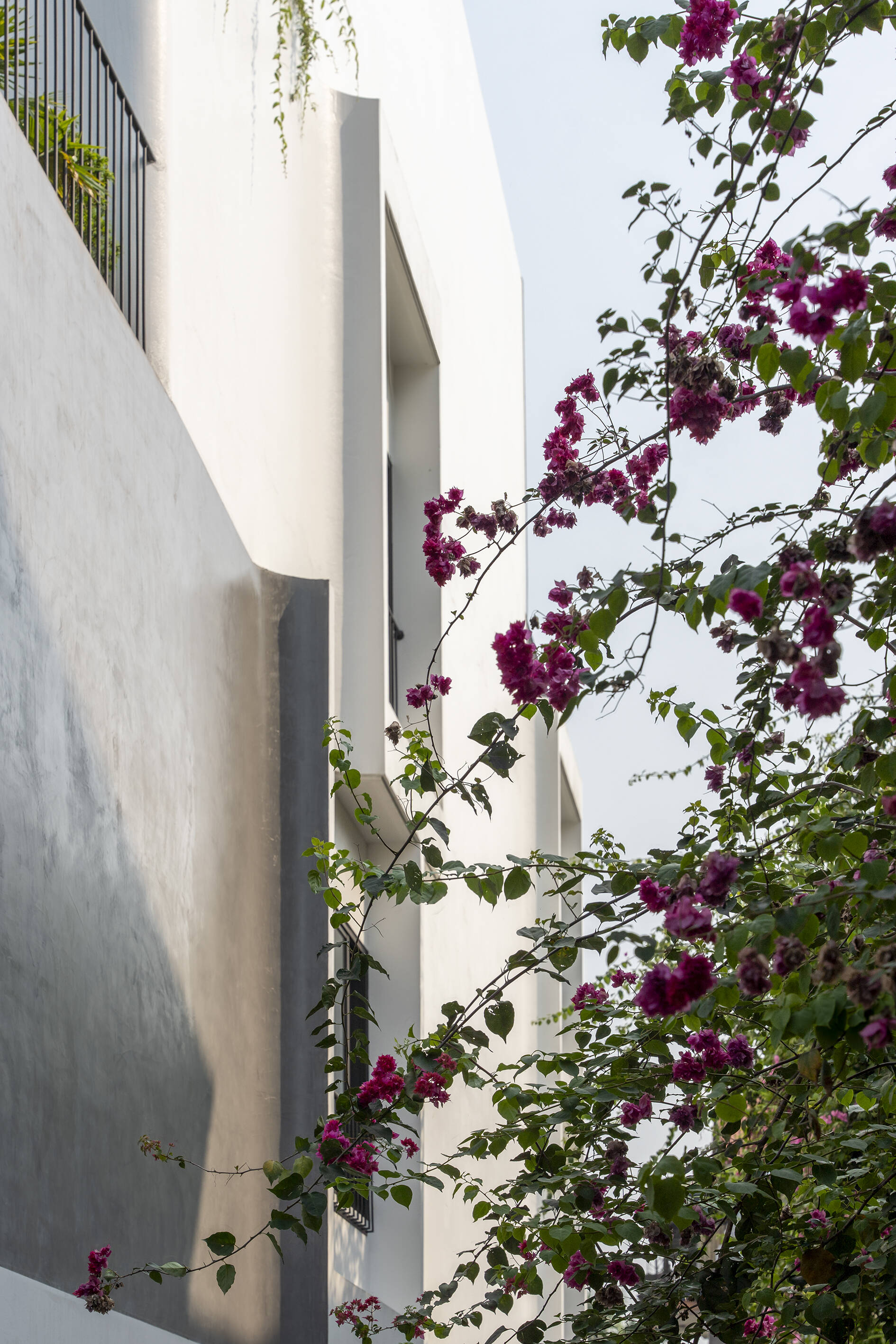 Nhà Vân Trì: “Ốc đảo xanh” giữa bối cảnh đô thị hóa / T3A.Atelier