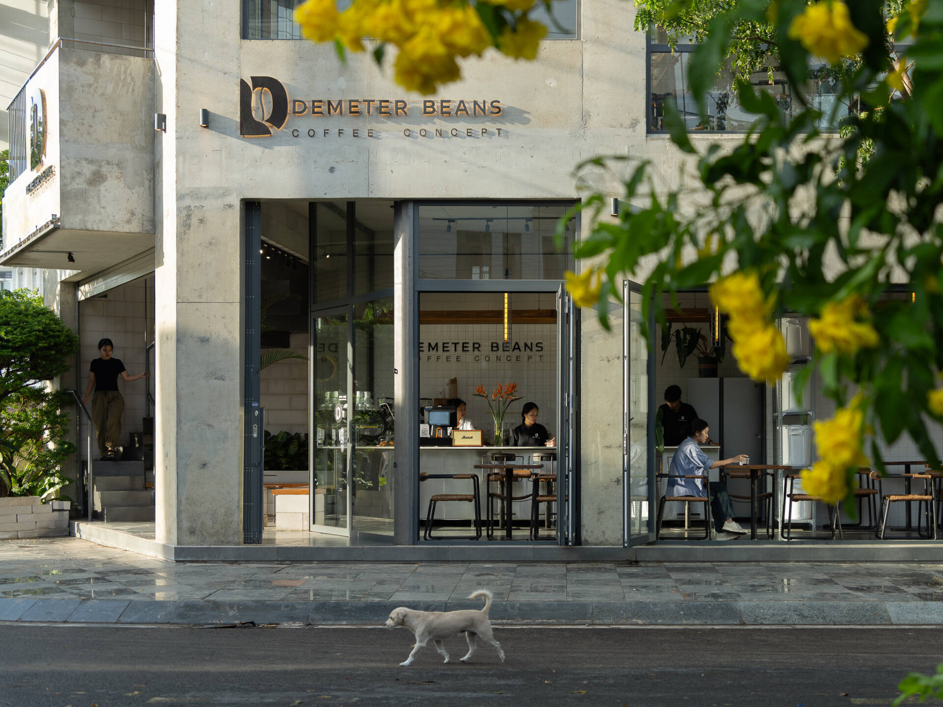 Demeter Beans II và Căn hộ D: Sự kết hợp của quán cà phê và căn hộ ...