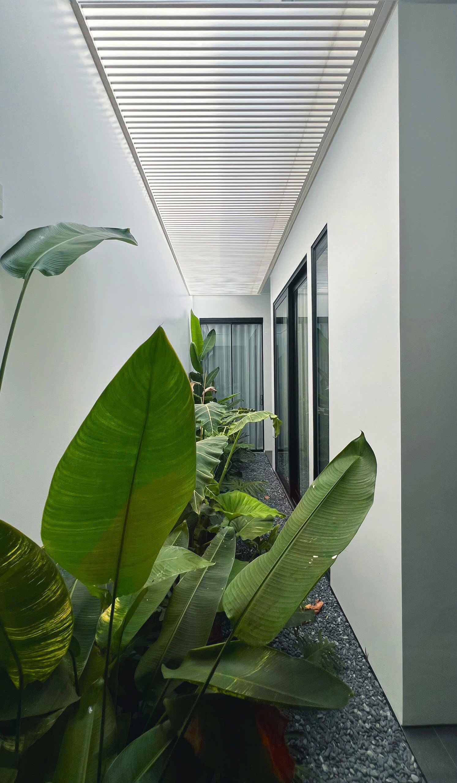 T House - Tối giản chi tiết trong thiết kế hướng tới phát triển đô thị bền vững | SOI studio ...