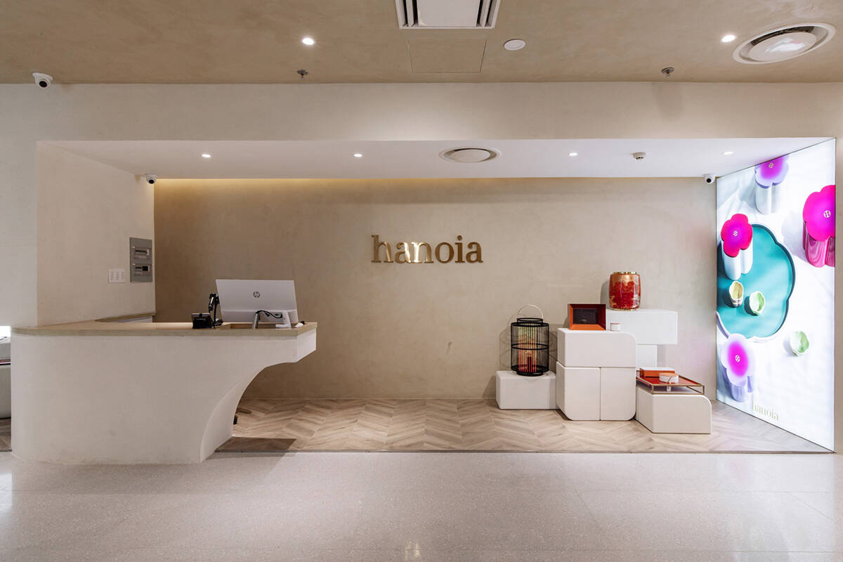 Hanoia Diamond Plaza - Khơi gợi và tôn vinh vẻ đẹp của nghệ thuật sơn ...