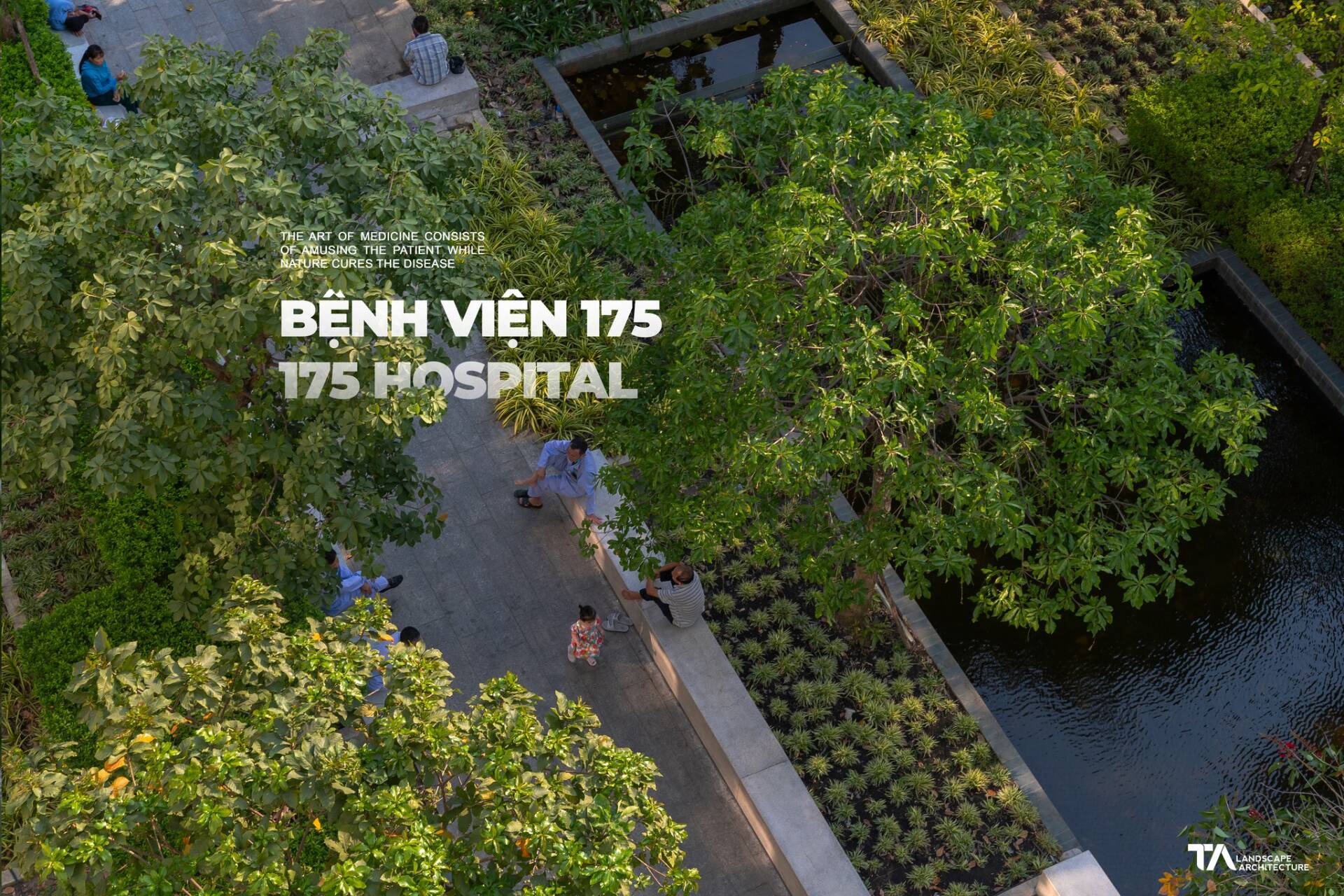 Cảnh quan - Sân và Vườn khu K1+K2 bệnh viện Quân y 175 | TA Landscape ...