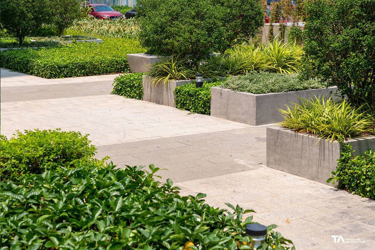 Cảnh quan - Sân và Vườn khu K1+K2 bệnh viện Quân y 175 | TA Landscape ...
