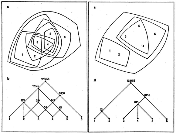 Tư tưởng Logical: Lý trí, khoa học, tỷ lệ và cấu trúc