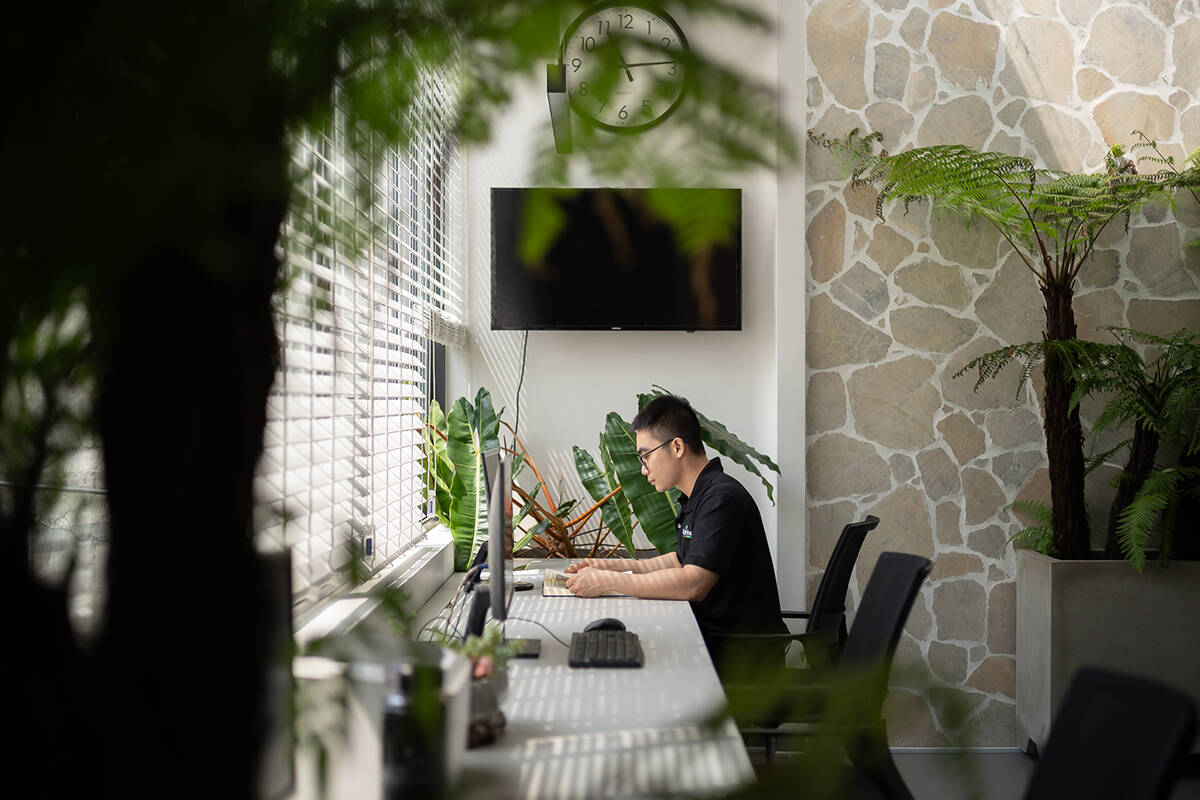 Trung Hoa Office – Mô hình văn phòng thích ứng với khí hậu nhiệt đới ...