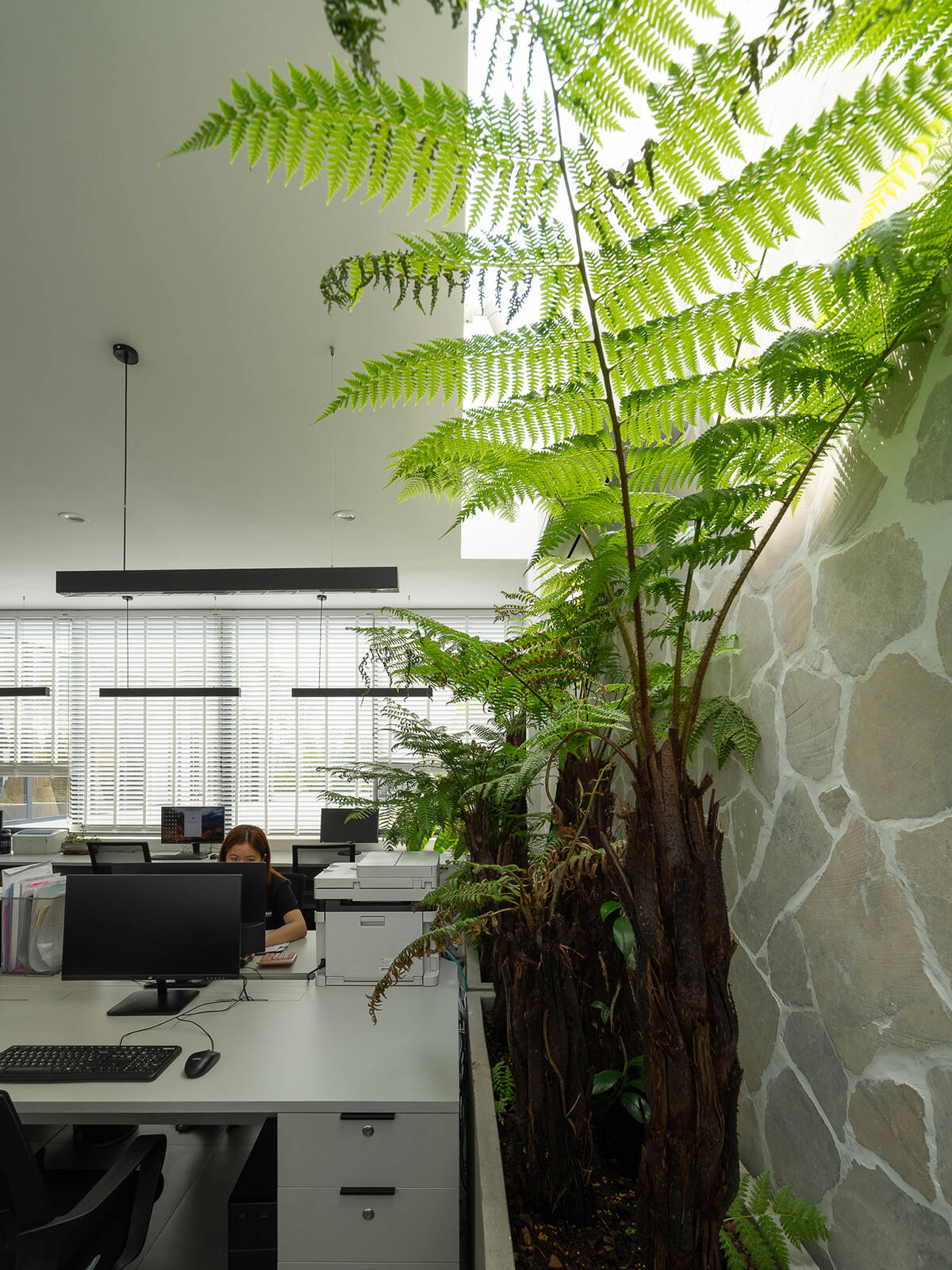 Trung Hoa Office – Mô hình văn phòng thích ứng với khí hậu nhiệt đới ...