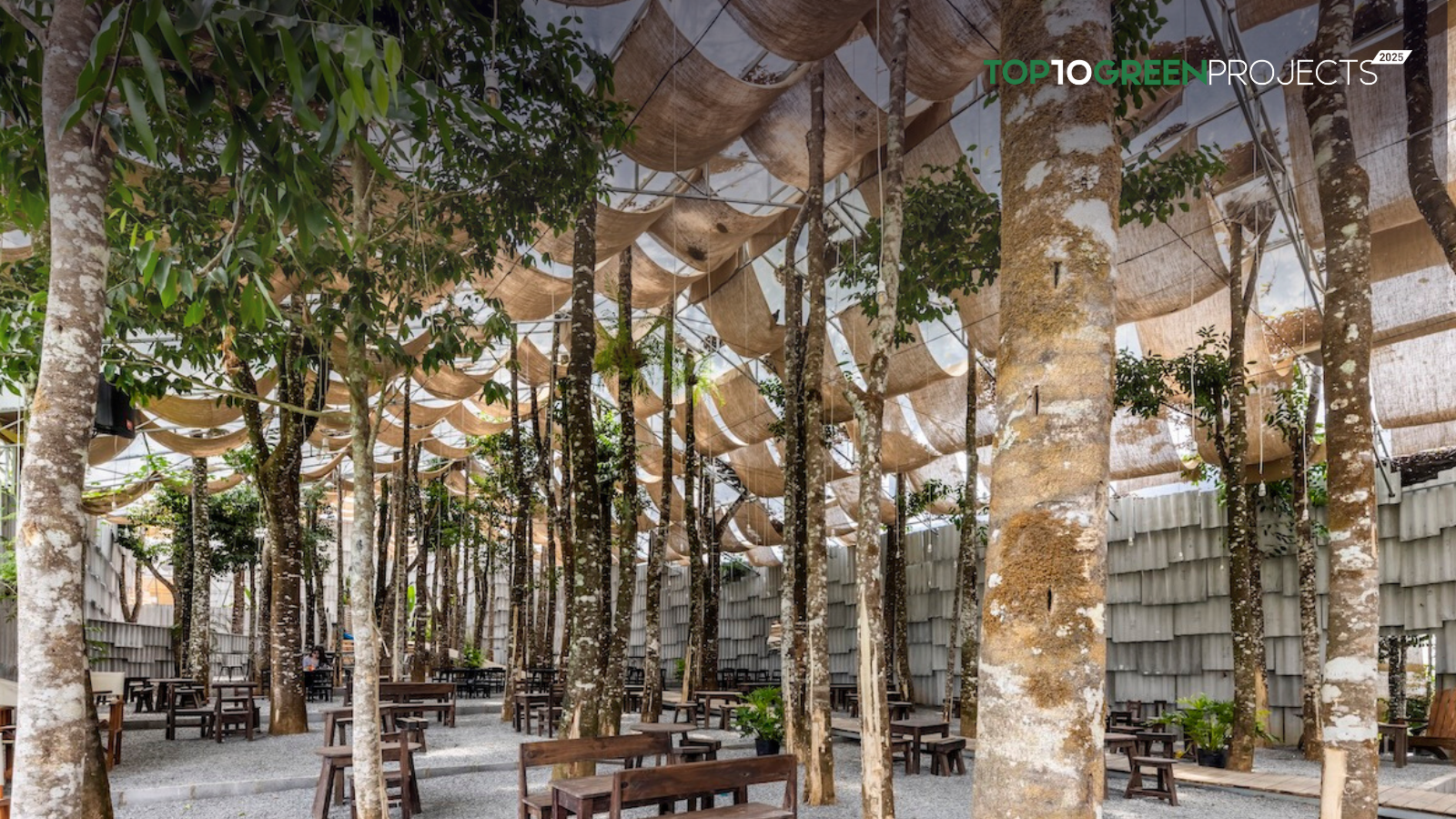 MIX Restaurant: Khi kiến trúc hòa nhập vào tán cây hiện hữu | The Bloom ...