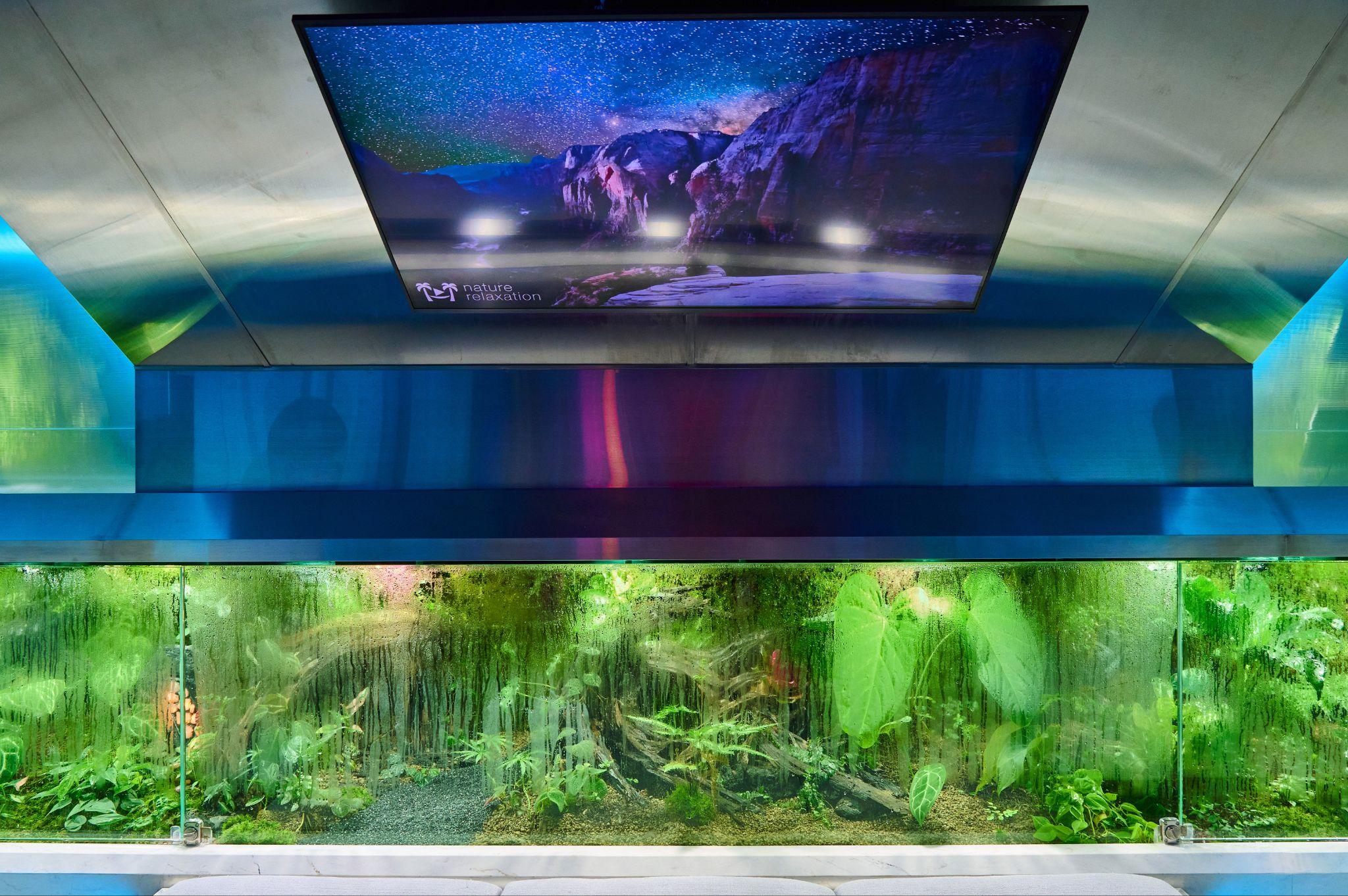 The Andromeda - Thực nghiệm không gian nhập vai trong giới hạn 65m2 ...